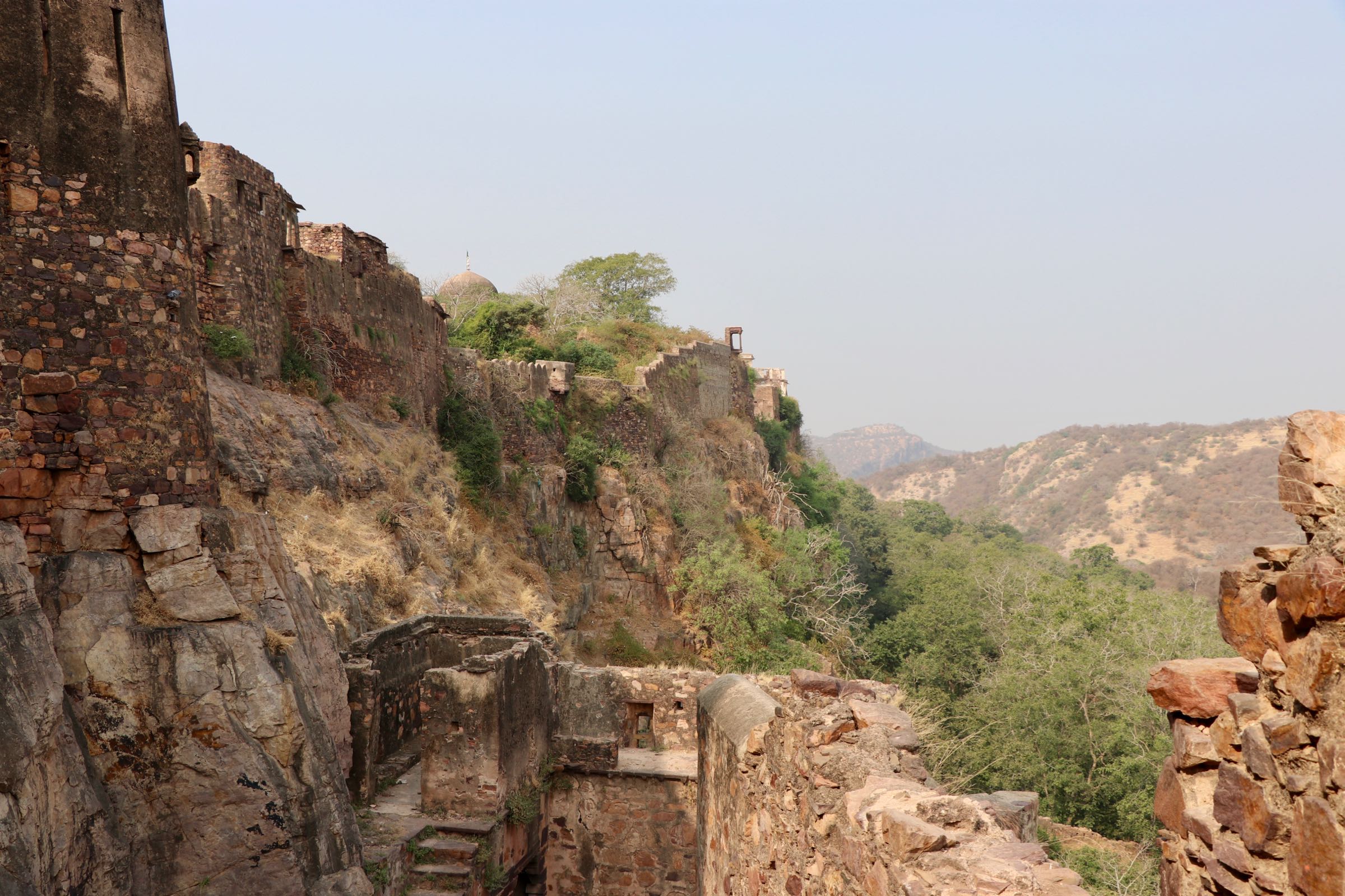 Fort Ranthambhore, Ranthambhore-Nationalpark, Indien • Jamane