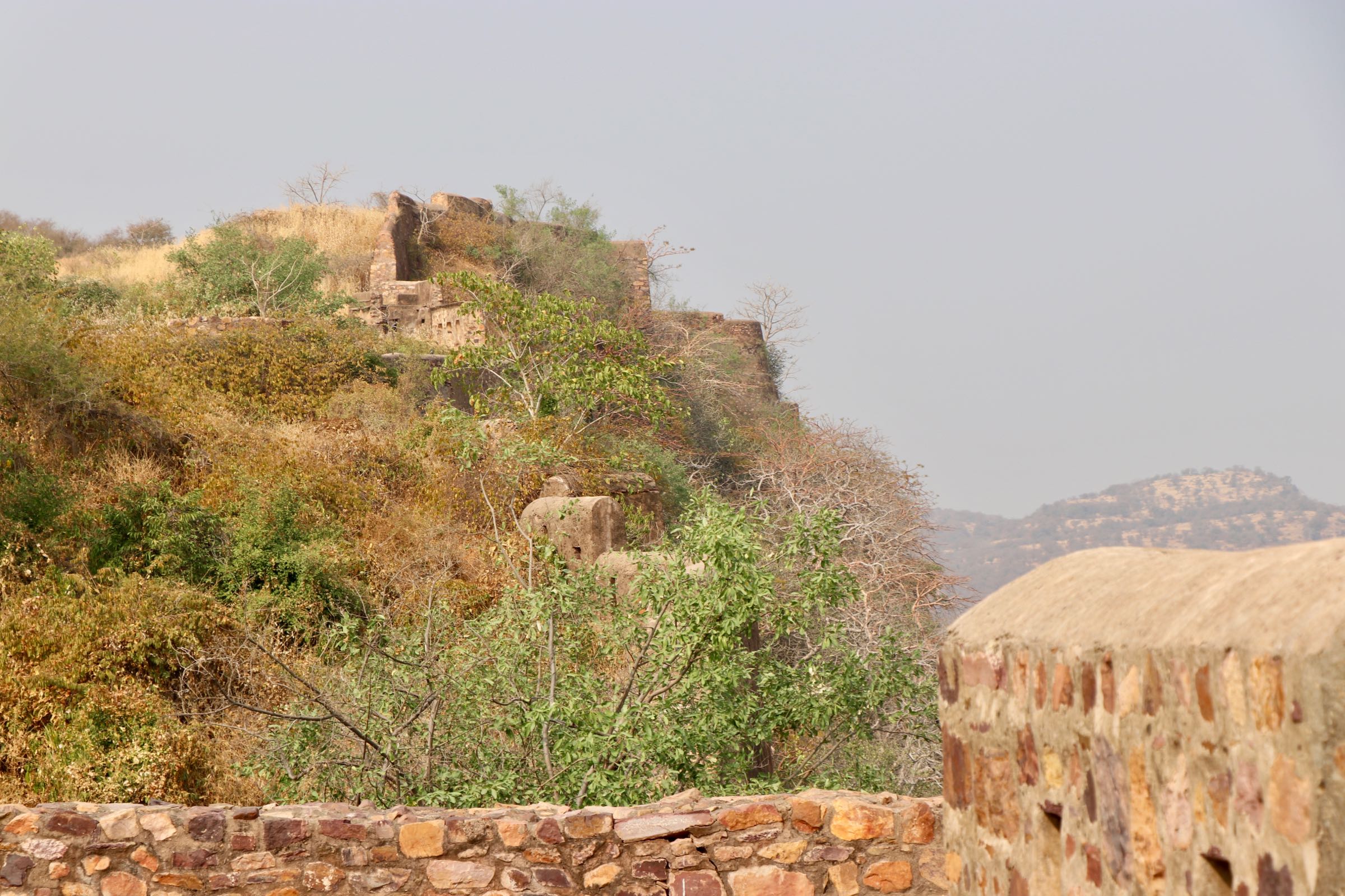 Fort Ranthambhore, Ranthambhore-Nationalpark, Indien • Jamane